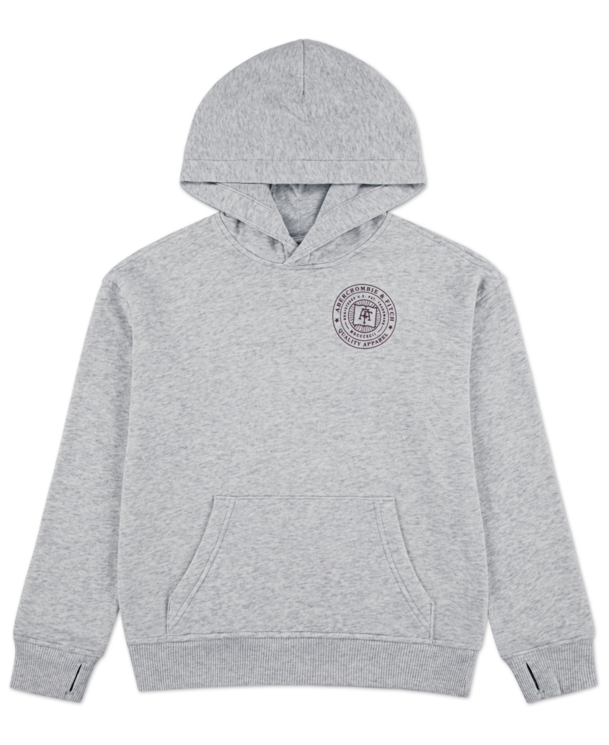 abercrombie kids Boys Fashion Hoodie - Anf Light Grey Heather