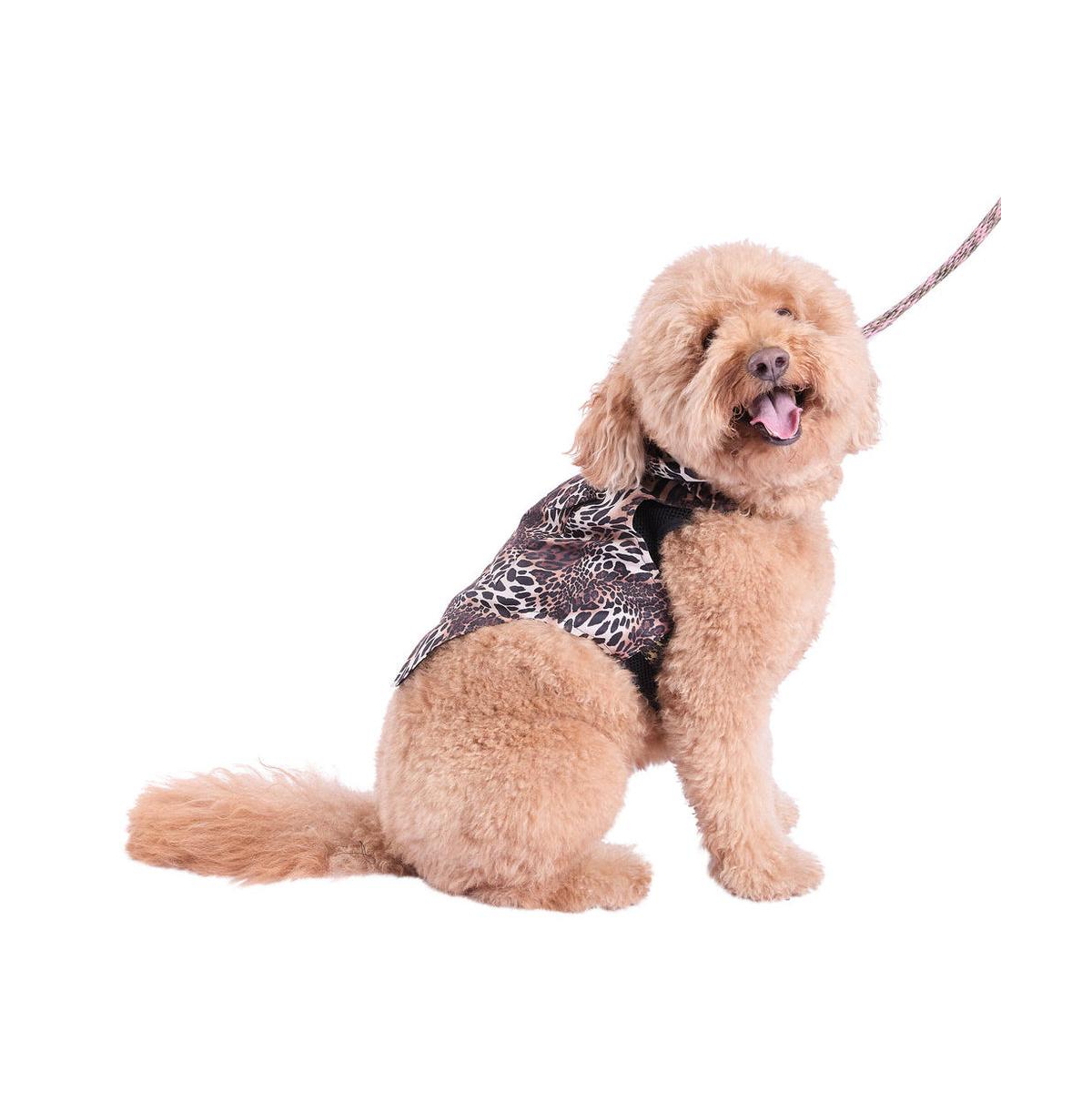 Click here for Natori Leopard Raincoat & Harness Set - M prices