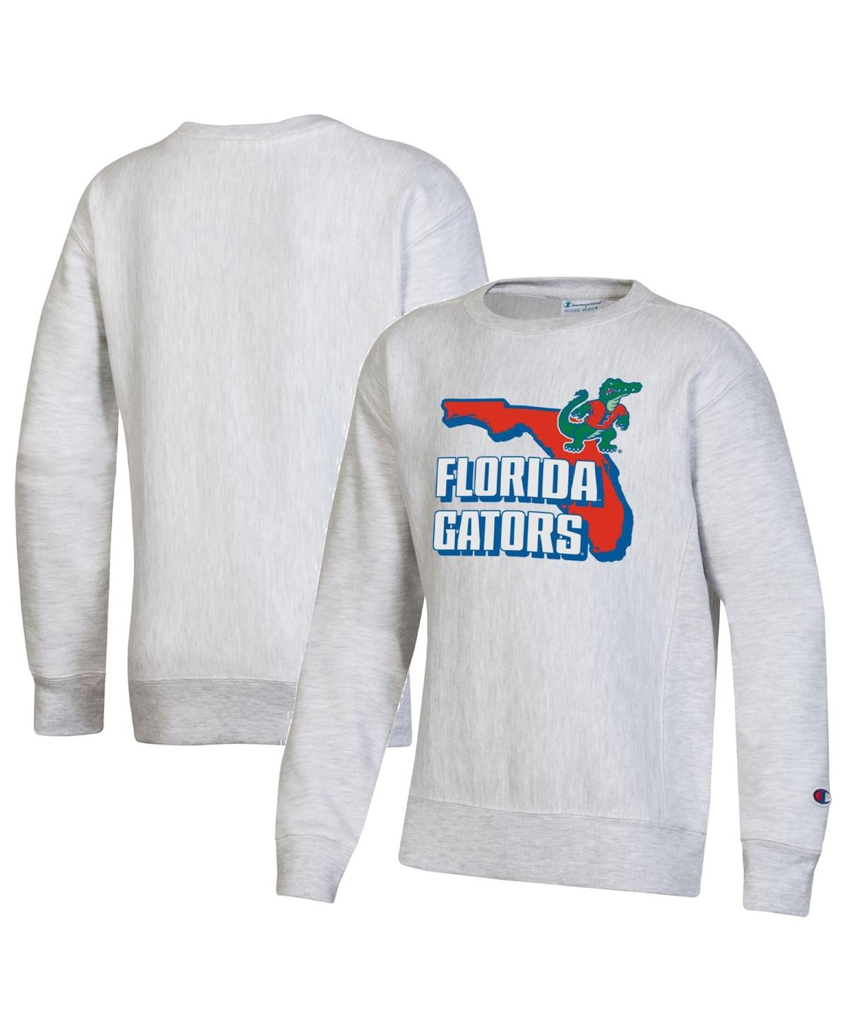 Click here for Champion Big Boys and Girls Heather Gray Florida G... prices