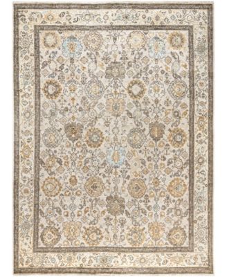 Click here for Adorn Hand Woven Rugs Serapi M0103 220 Rug Collect... prices