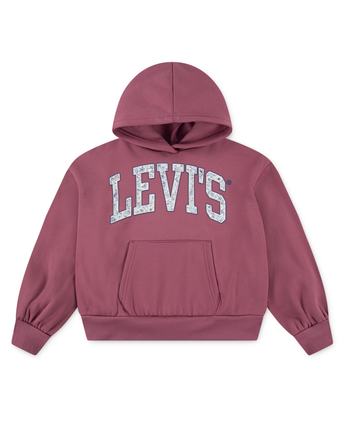 Click here for Levis Big Girls Collegiate Oversized Pullover Hood... prices
