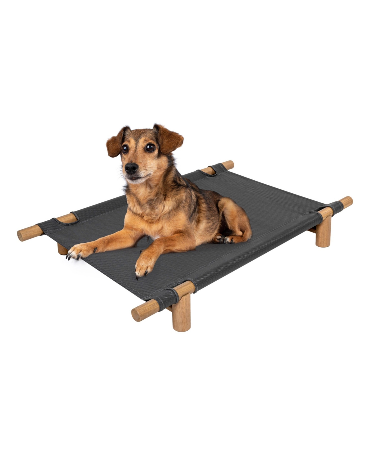 Click here for Chester Modern Minimalist Wood Frame Elevated Outd... prices