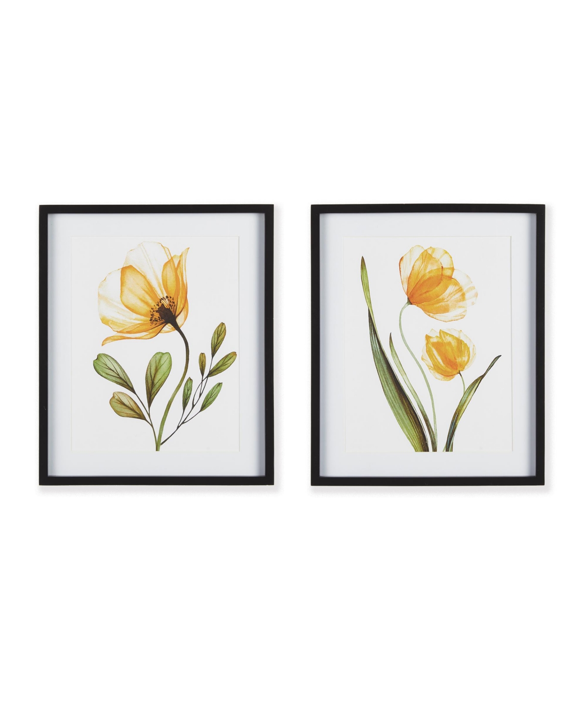 Click here for X-Ray Botanical Prints  Set Of 2 prices