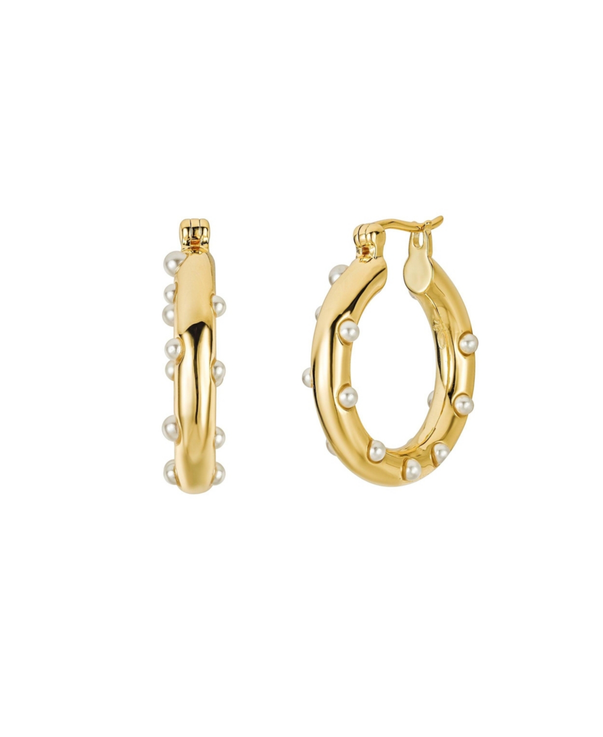 Click here for Untamed Petals Paris Hoop - Gold prices