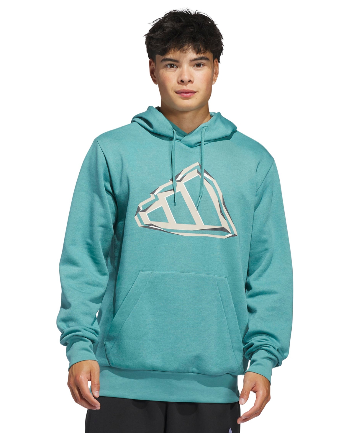 Click here for adidas Mens Graphic Big Logo Sportswear Hoodie - T... prices