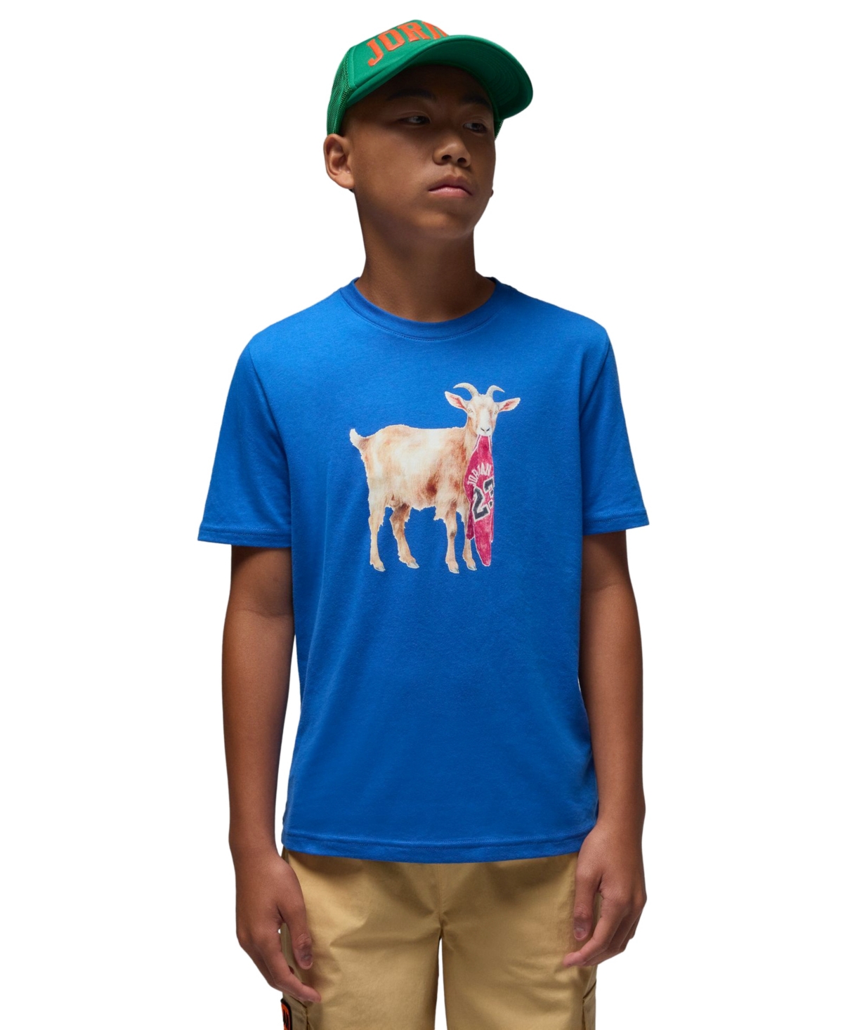 Click here for Jordan Boys 8-20 Flight Goat T-Shirt - Sport Blue prices