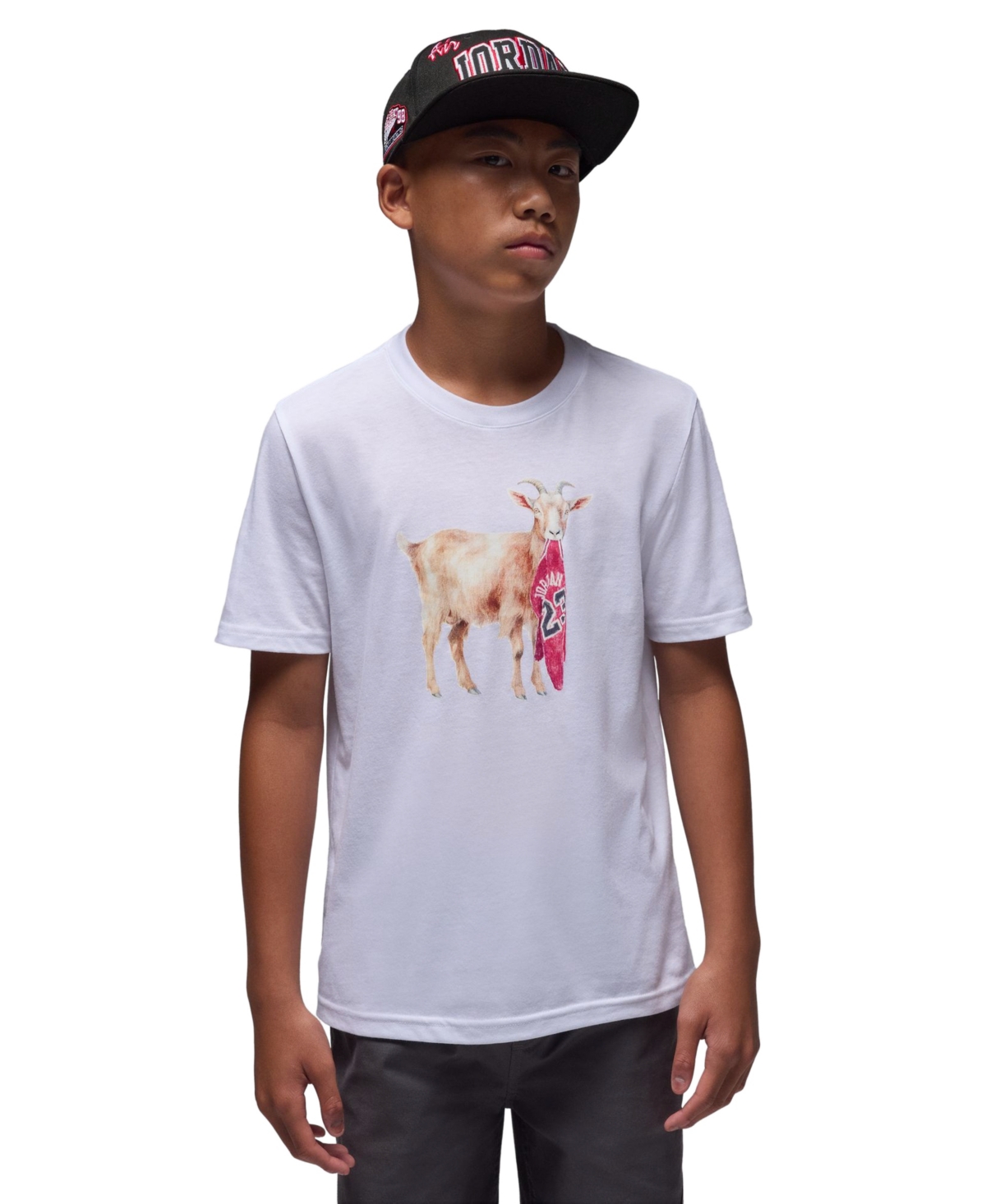 Click here for Jordan Boys 8-20 Flight Goat T-Shirt - White prices