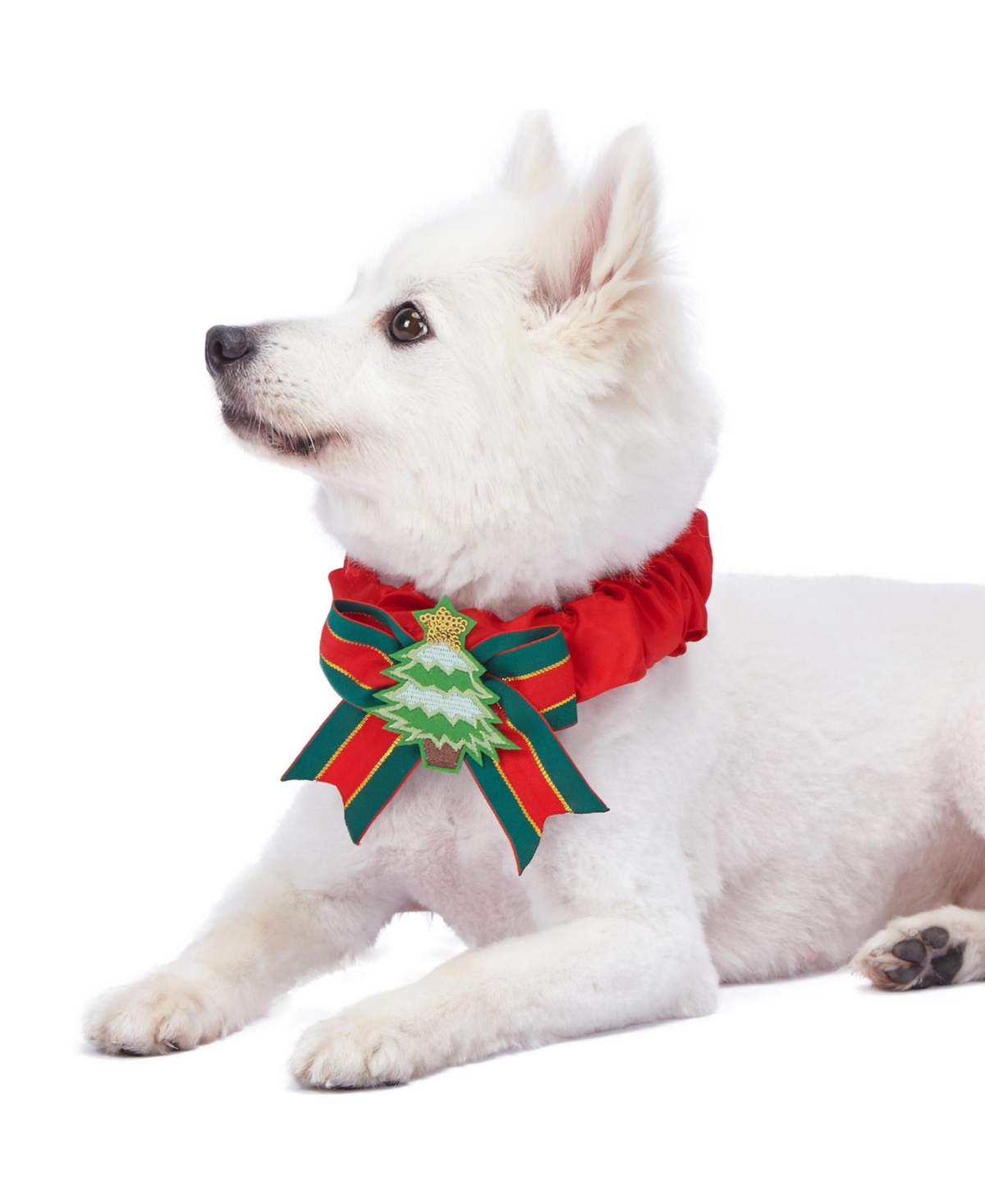 Click here for Blueberry Pet Christmas Dog Collar with Blingy Dec... prices