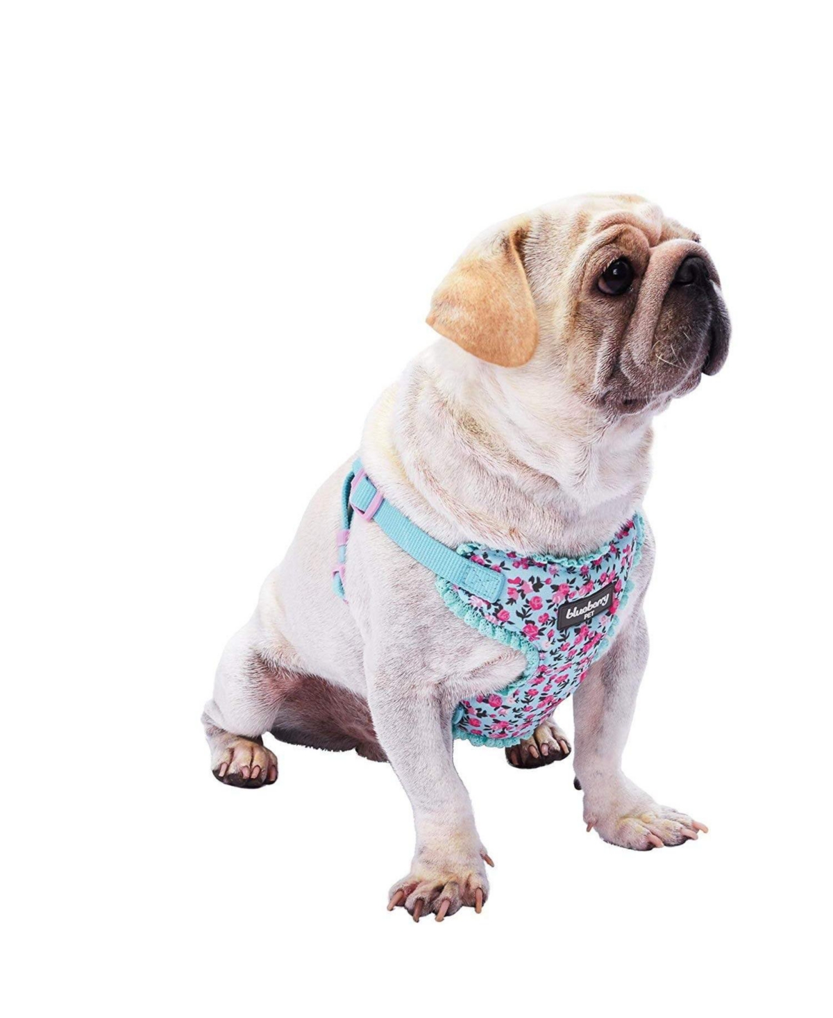 Click here for Blueberry Pet Made Well Floral Print Dog Harness V... prices
