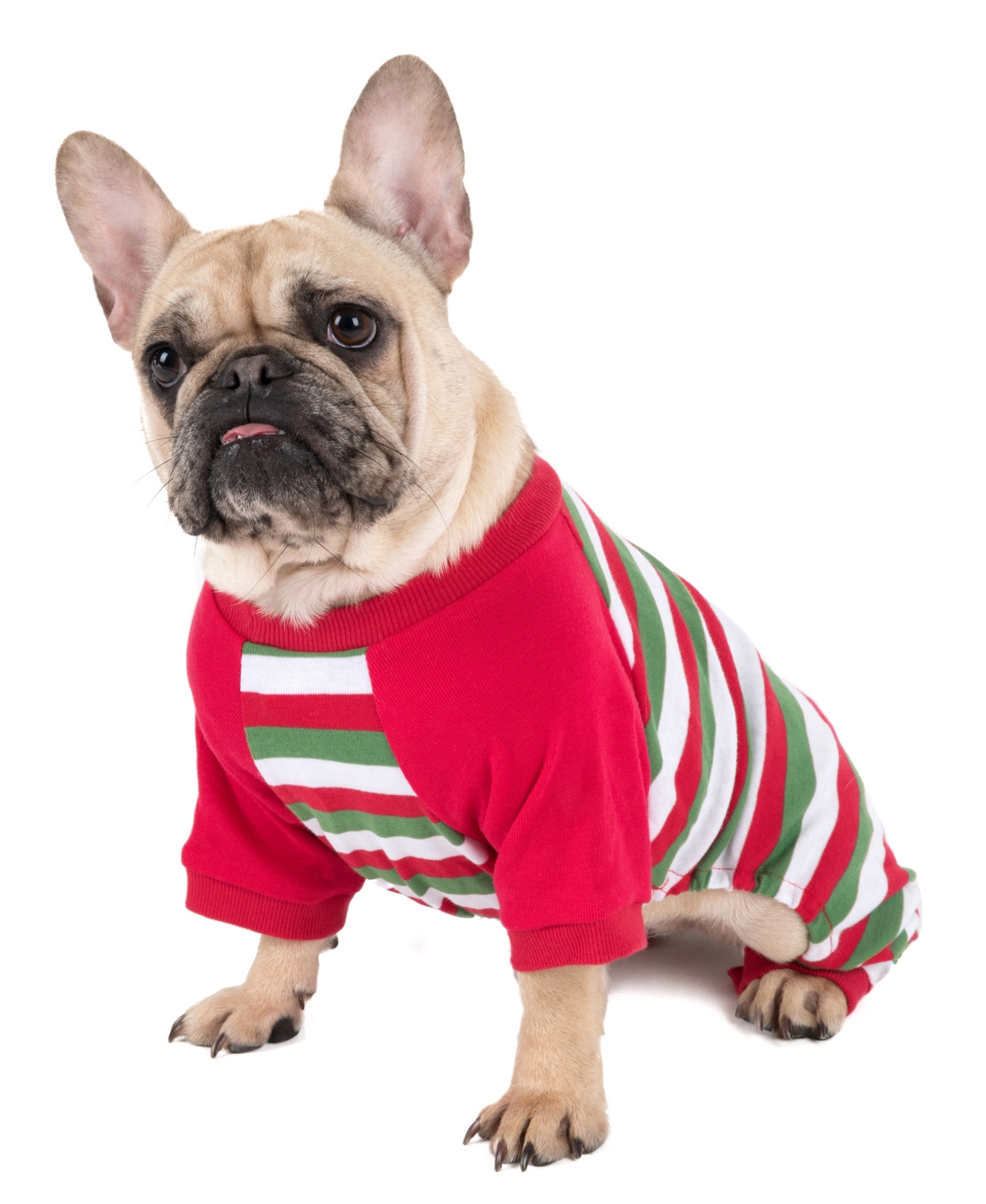 Click here for Leveret Dog Cotton Pajamas  Striped Red White and... prices