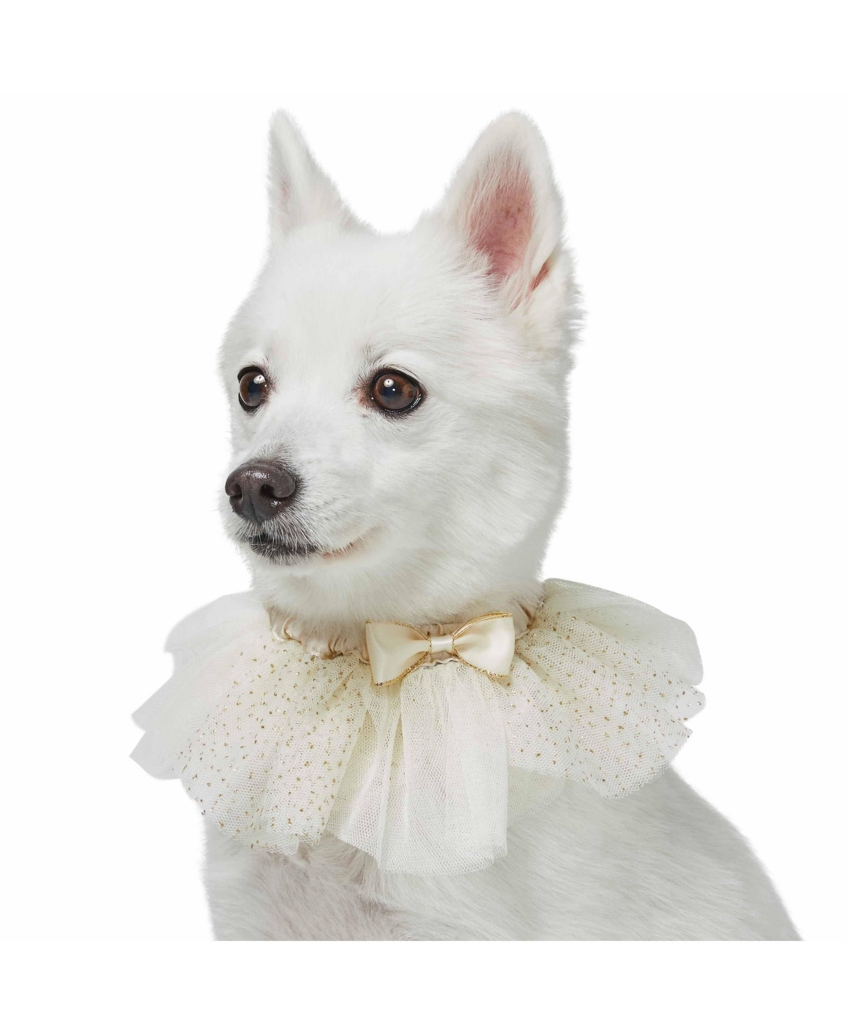 Click here for Blueberry Pet My Little Princess Dog Collar with E... prices