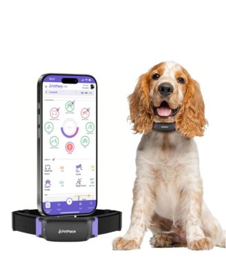 Click here for Petpace Dogs Health Monitoring Collar Medium prices