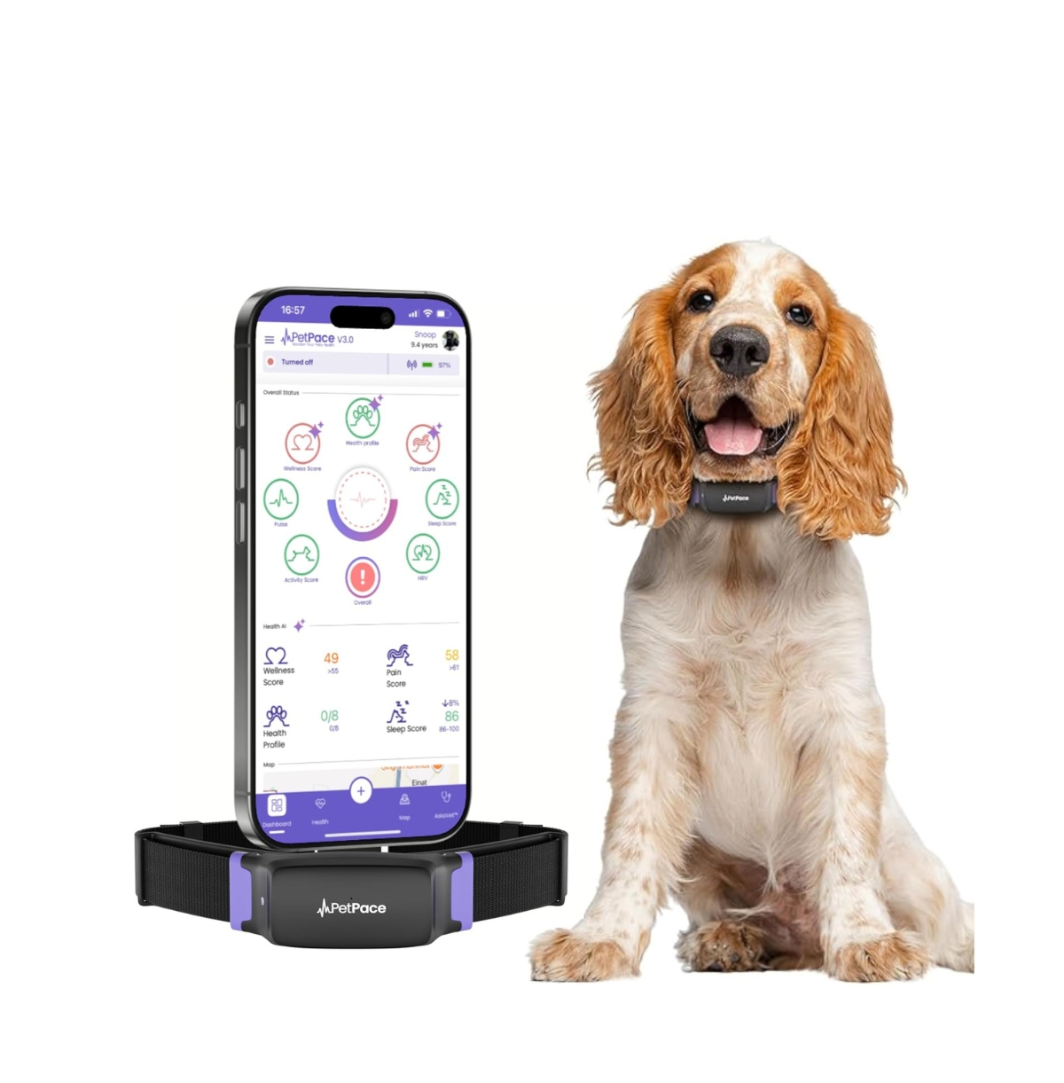 Click here for Petpace  Dogs Health Monitoring Collar  Medium - B... prices