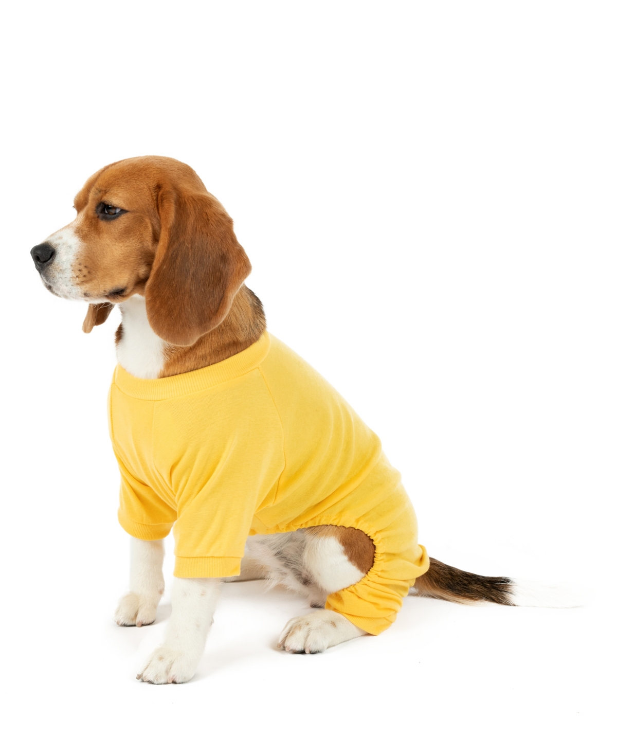 Click here for Leveret Dog Cotton Pajama Solid Navy - Yellow prices