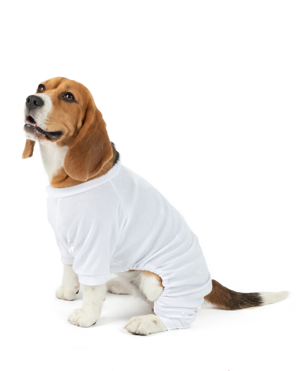 Click here for Leveret Dog Cotton Pajama Solid Navy - White prices