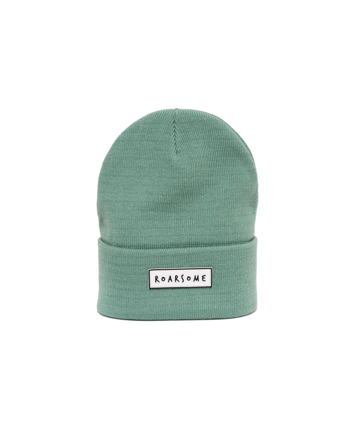 Click here for Roarsome Toddler Beanie - Green prices