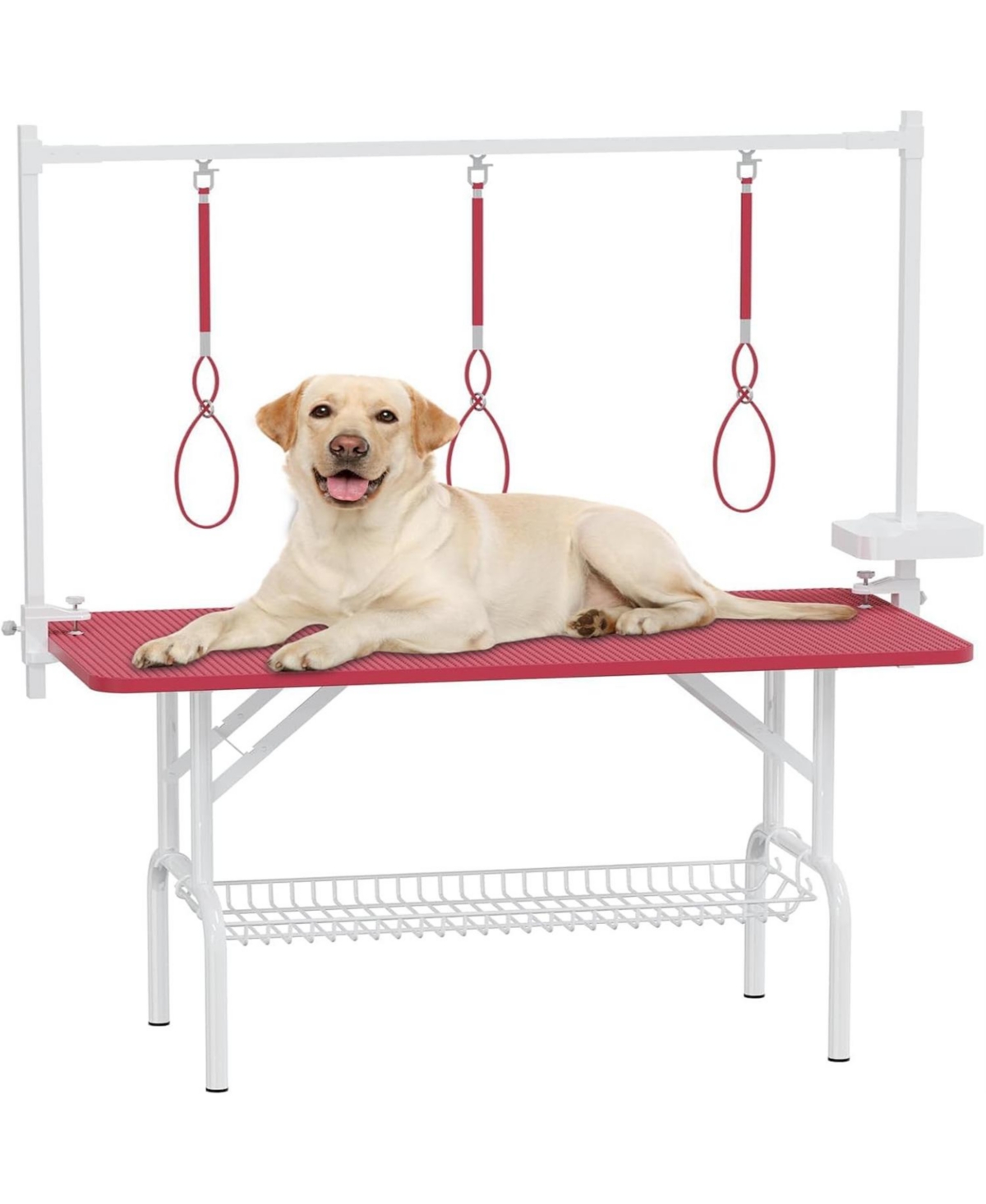 Click here for Aostirmotor 47" Professional Dog Grooming Tab... prices