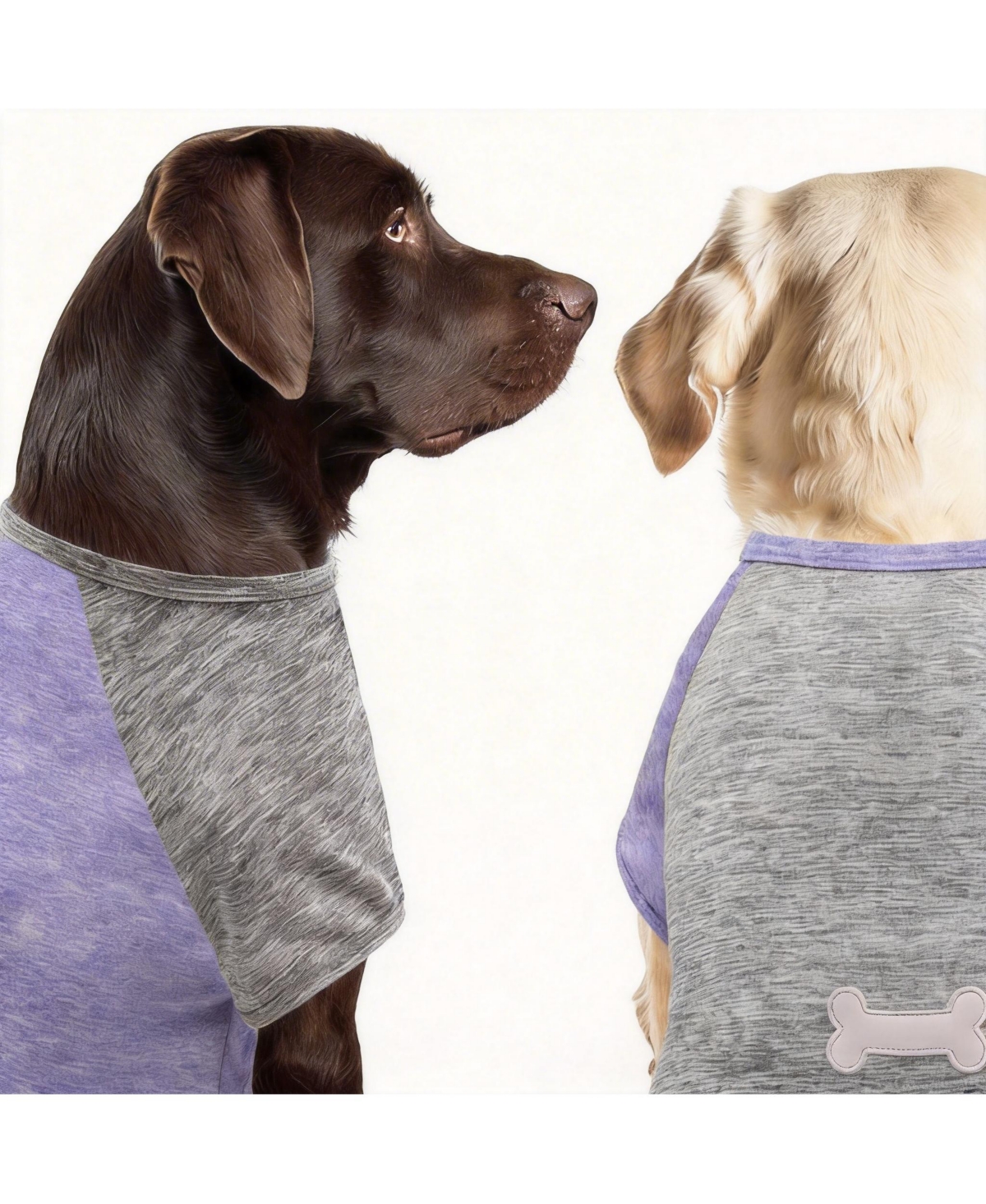 Click here for Aronkl 2-Pack Lightweight Athletic Dog T-Shirt wit... prices