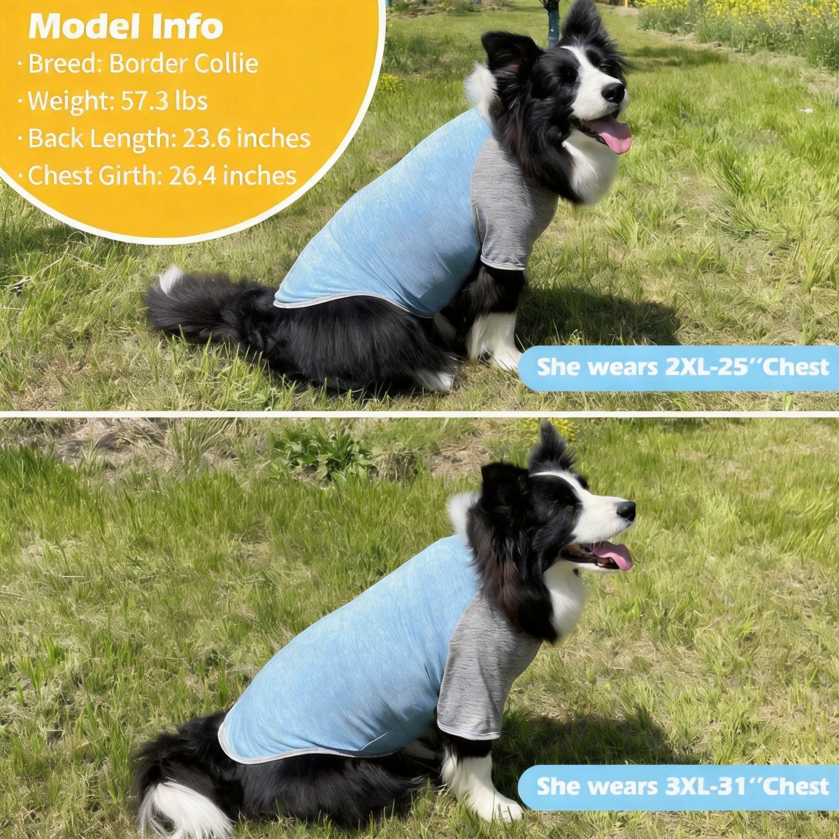 Click here for Aronkl 2-Pack Lightweight Athletic Dog T-Shirt wit... prices