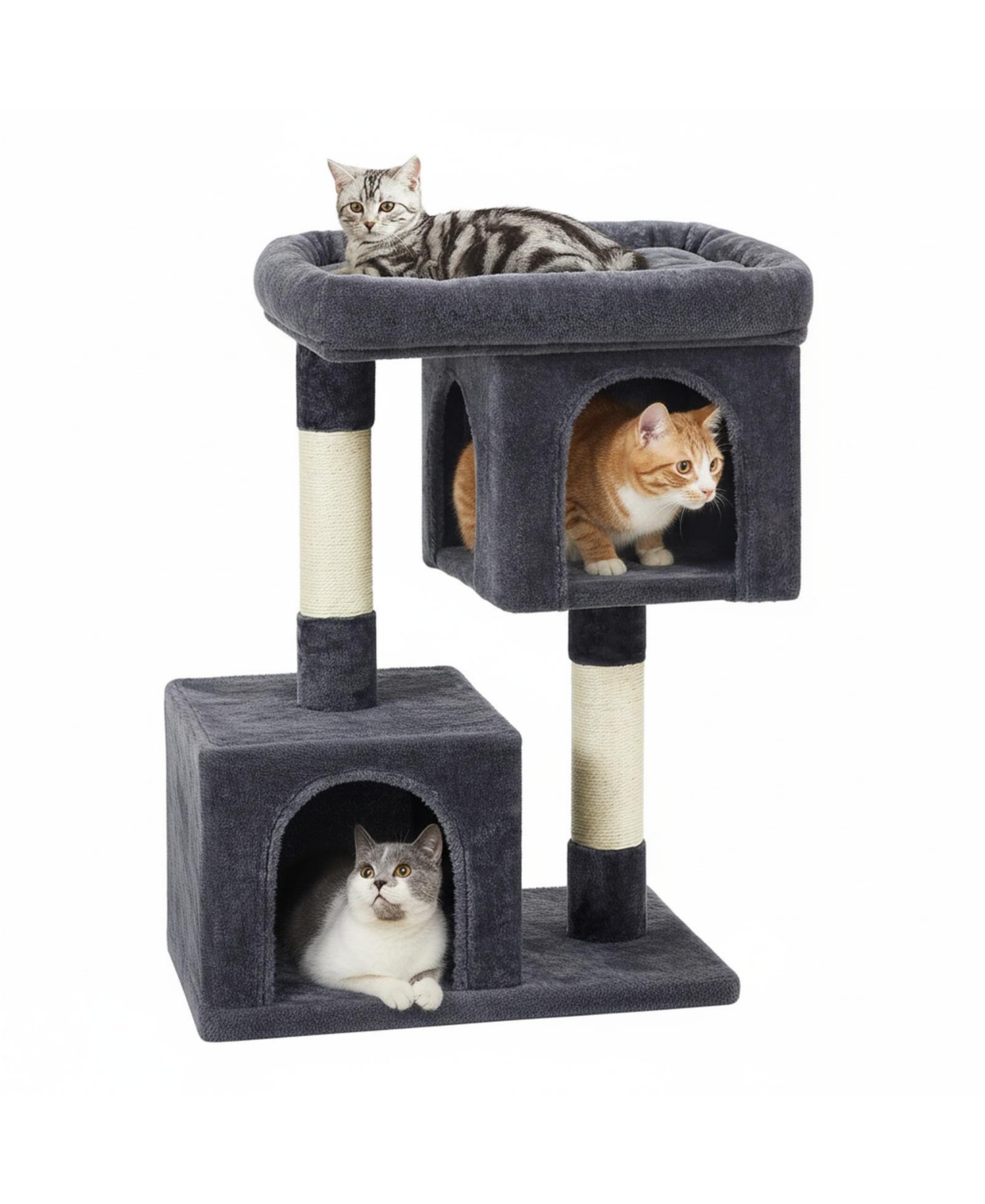 Click here for Aronkl Cat Tree Tower with Large Perch 2 Caves Scr... prices