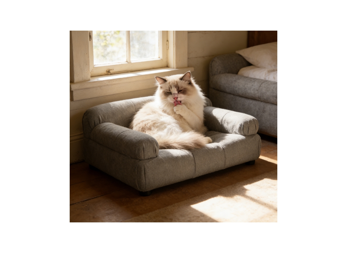Click here for Zeus and Ruta Modern Upholstered Marcel Pet Bed Fo... prices