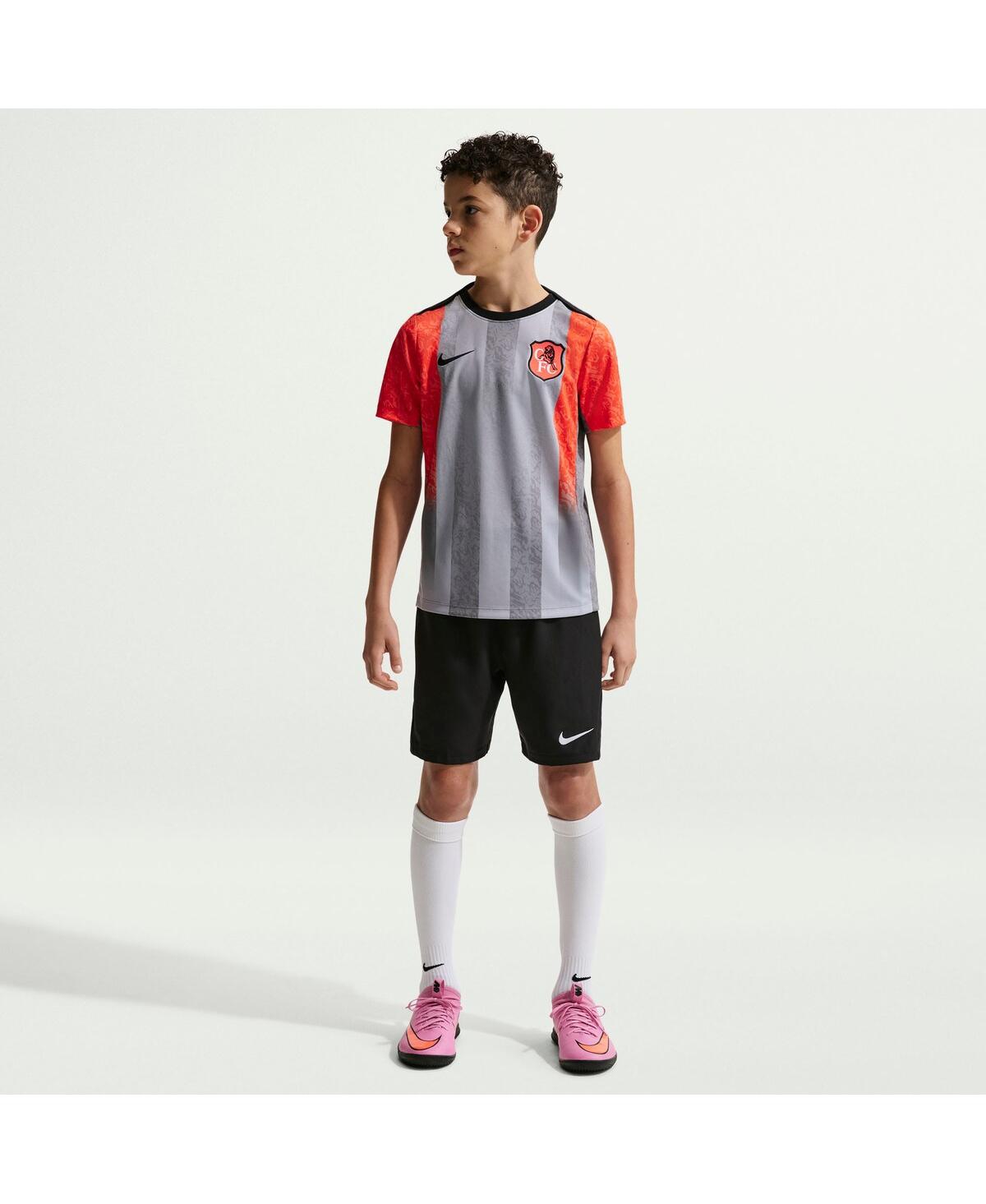 Click here for Nike Big Boys and Girls Gray Chelsea 2025/26 Acade... prices