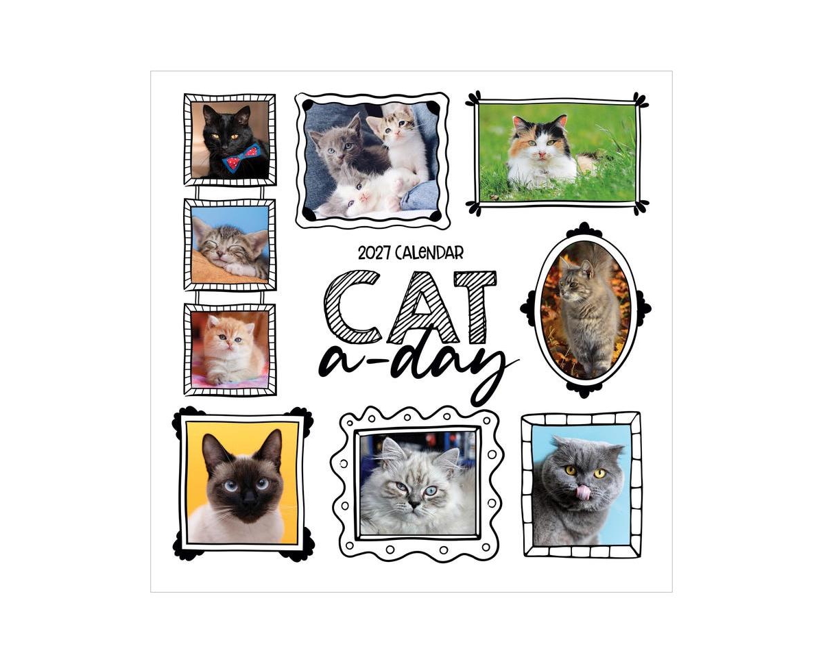 Click here for Tf Publishing Paper Goods 2027 Cat-a-Day Wall Cale... prices