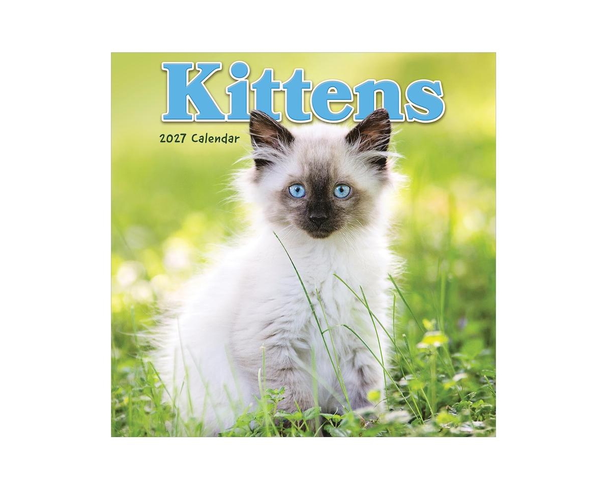 Click here for Tf Publishing Paper Goods 2027 Kittens Mini Calend... prices