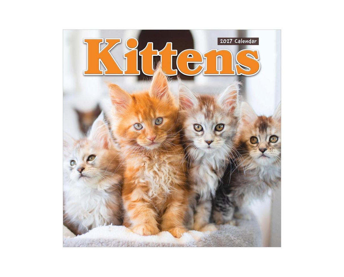 Click here for Tf Publishing Paper Goods 2027 Kittens Wall Calend... prices