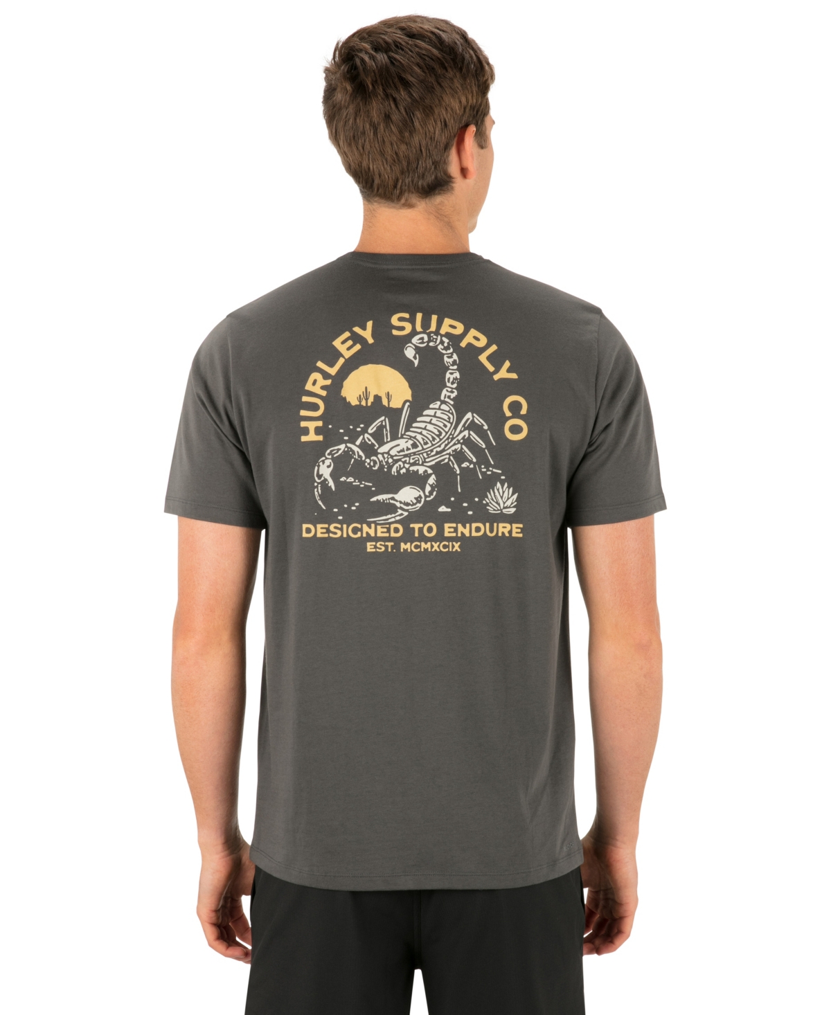 Click here for Hurley Mens Subtle Logo Artwork At The Left Chest... prices