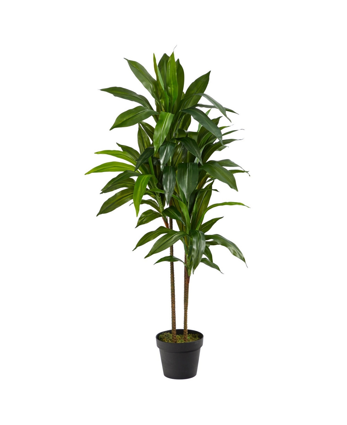 Click here for Nearly Natural 43 Dracaena Real Touch Plant - Gree... prices