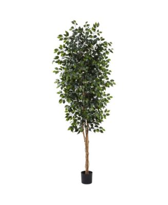 Nearly Natural 8' Ficus Tree - Macy's