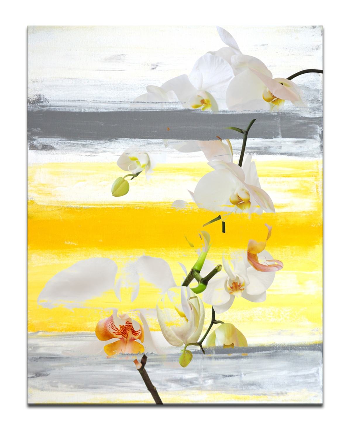 Click here for Ready2HangArt Painted Petals Xxvi Canvas Art Print prices