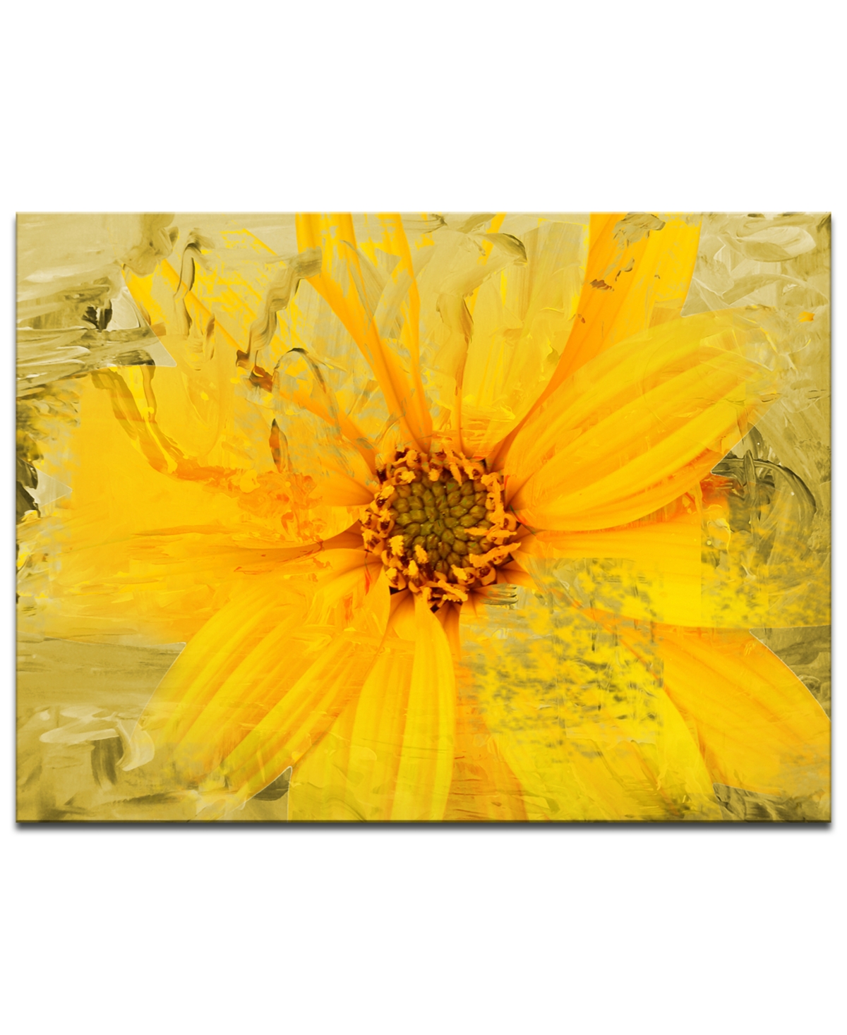 Click here for Ready2HangArt Painted Petals Xxxvi Canvas Wall Dec... prices