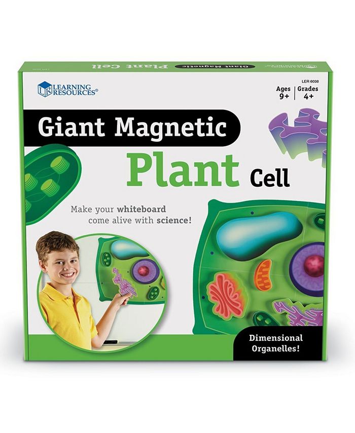 Learning Resources Giant Magnetic Plant Cell - Macy's