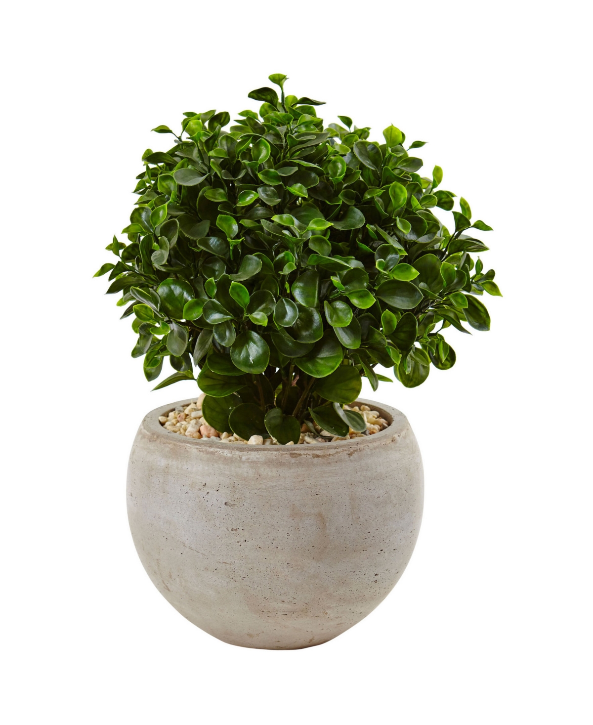 Click here for Nearly Natural 2 Eucalyptus Silk Plant in Sand Col... prices