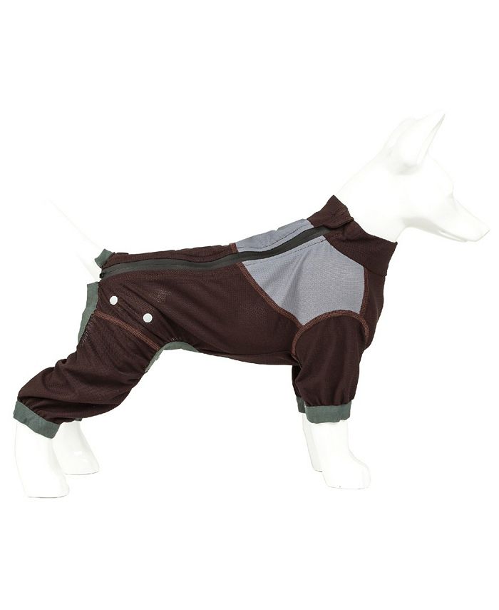 Dog Helios 'Tail Runner' Lightweight Full Body Performance Dog Track ...