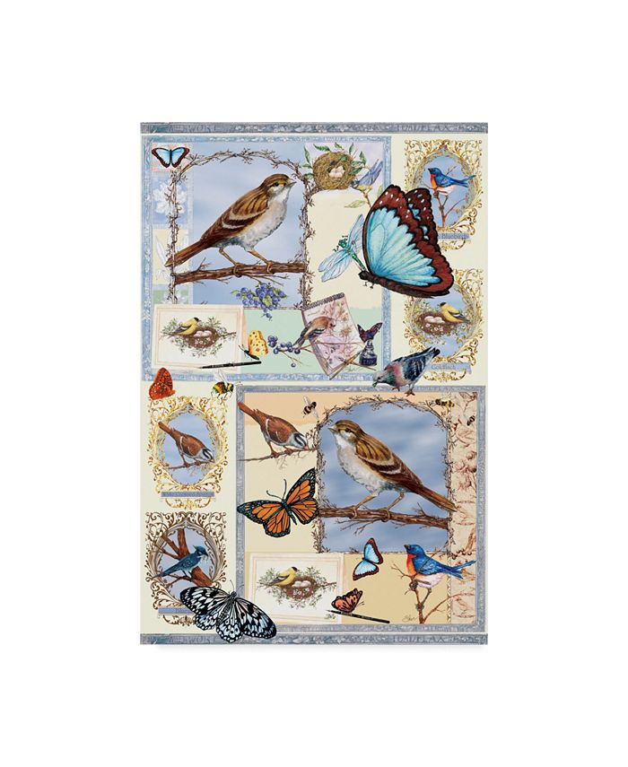 Trademark Global Sher Sester 'Birds Banner' Canvas Art - 47" x 30" x 2 ...