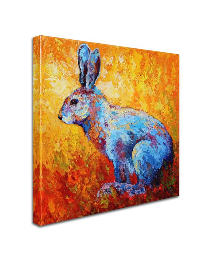 Trademark Global Marion Rose 'Bunnie (krabbit)' Canvas Art - 24" x 24 ...