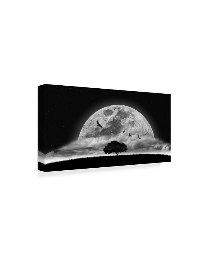 Trademark Global Nasser Osman 'A Dream Tree' Canvas Art - 32" x 2" x 16 ...