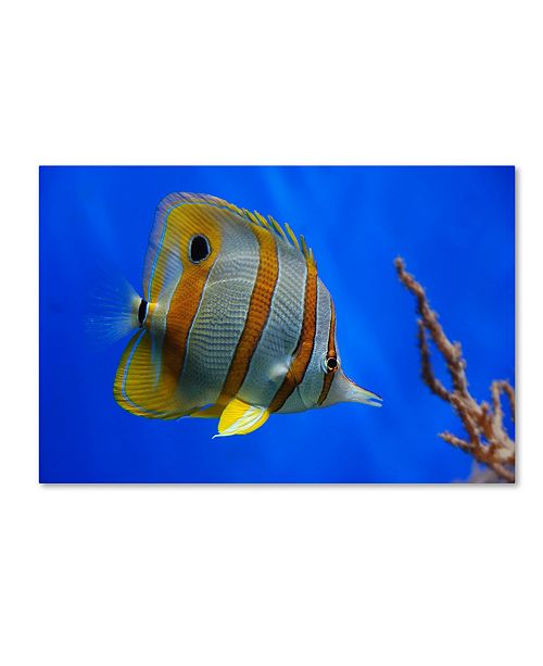 Trademark Global Jan Lykke 'Tropical Beauty' Canvas Art - 47" x 30" x 2 ...