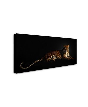 Trademark Innovations Pedro Jarque 'Harmony' Canvas Art - 24" x 12" x 2 ...