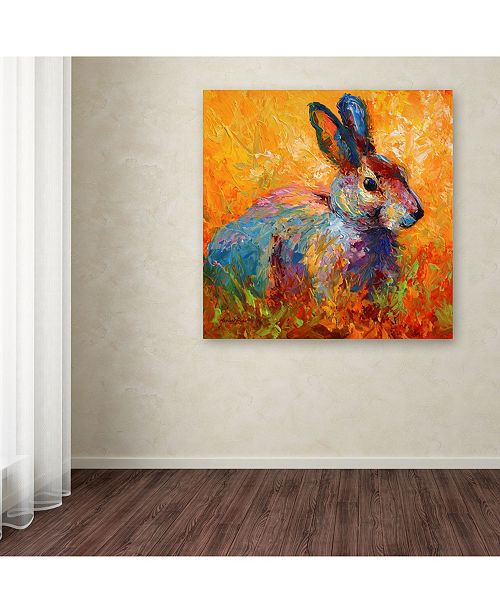 Trademark Global Marion Rose 'Bunny IV' Canvas Art - 18" x 18" x 2 ...