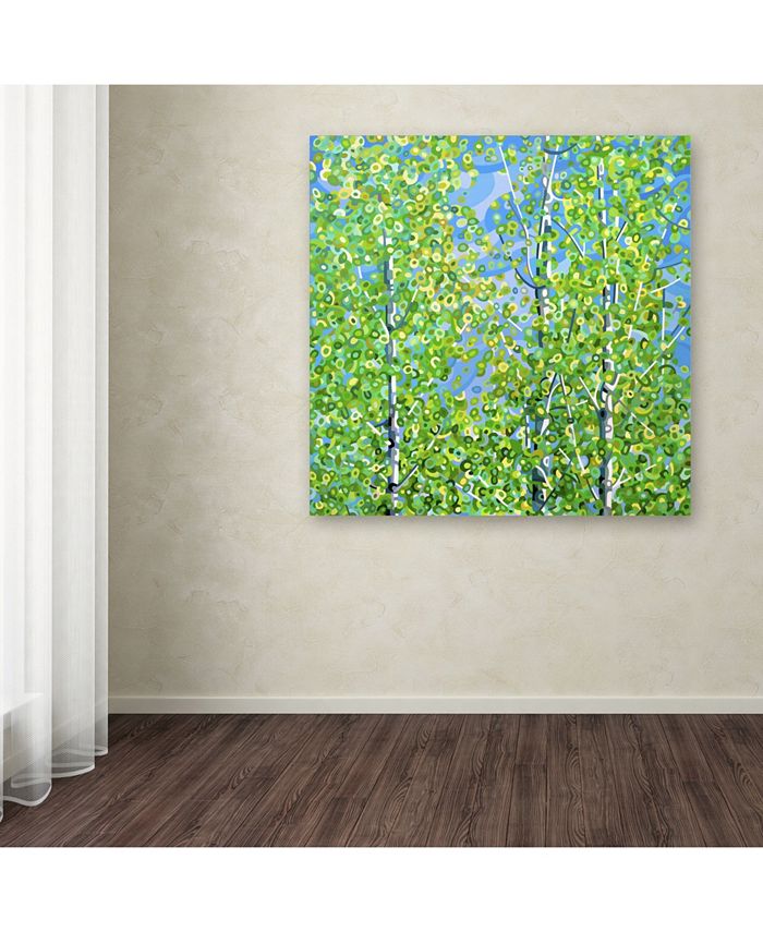 Trademark Global Mandy Budan 'Among Friends' Canvas Art - 24" x 24" x 2 ...