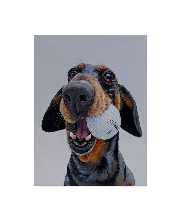 Trademark Global James Ruby 'Titleist 1' Canvas Art - 18" x 24" - Macy's