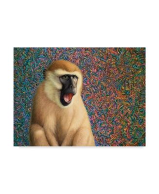 James W. Johnson 'Yawn' Canvas Art - 47" x 35" - Macy's