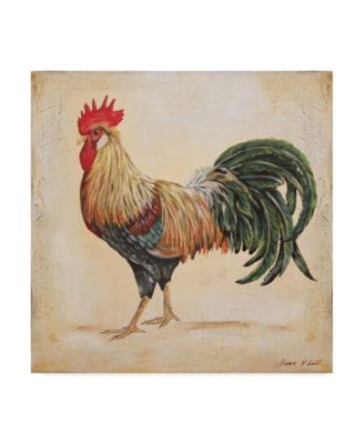 Jean Plout 'Rooster 3' Canvas Art - 35" x 35" - Macy's