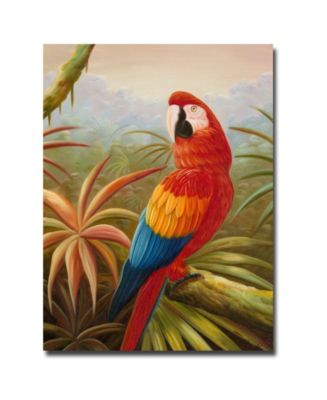 Rio 'Amazon Rain Forest' Canvas Art - 32" x 26" - Macy's