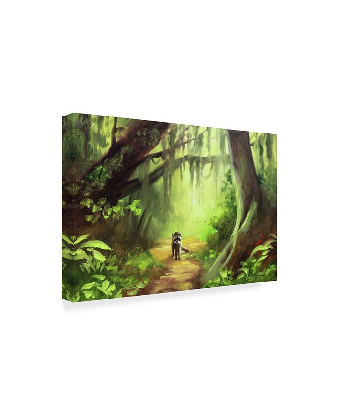 Trademark Global D Rusty Rust 'Raccoon In The Path' Canvas Art - 19" x ...