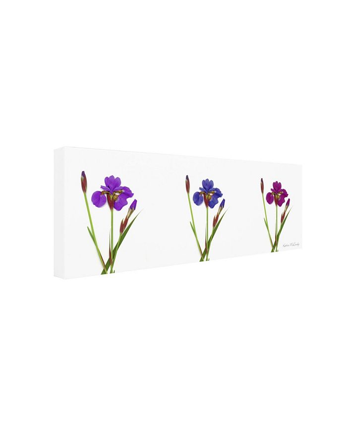 Trademark Global Kathie McCurdy 'Siberian Iris Triptych' Canvas Art - 47" x 16" - Macy's
